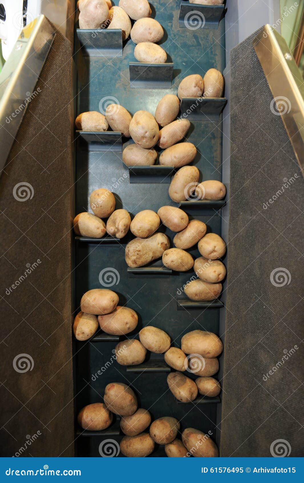 Potatoes stock image. Image of group, equipment, potatoes - 61576495