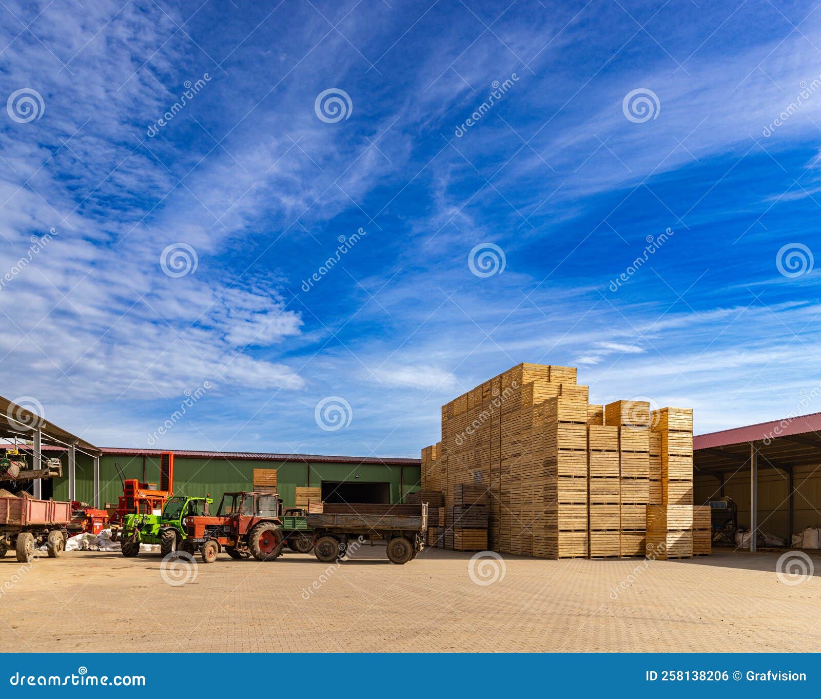 Potatoes storage in farm editorial photo. Image of storage - 258138206