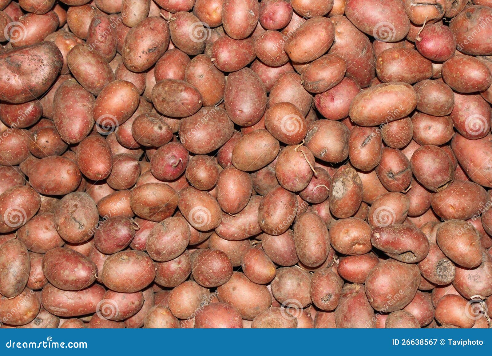 Potatoes texture stock image. Image of starch, background - 26638567