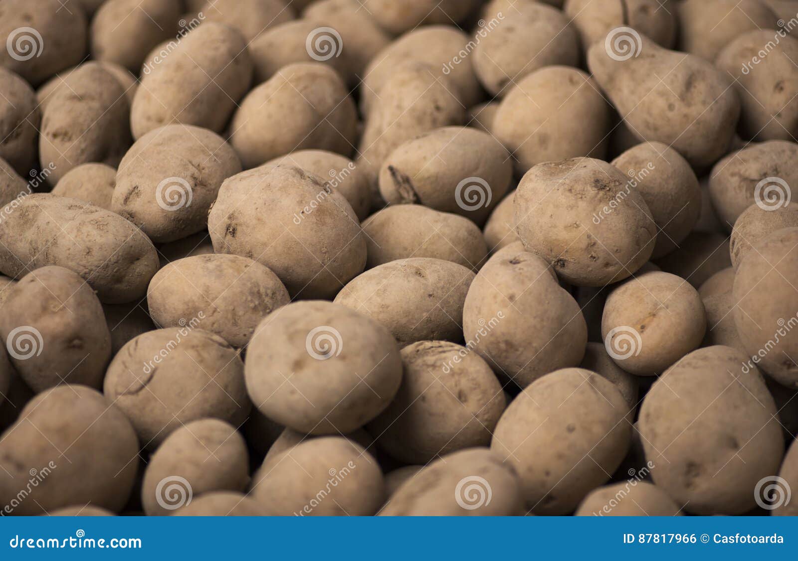 Potatoes Texture Background. Stock Photo - Image of background, nature ...