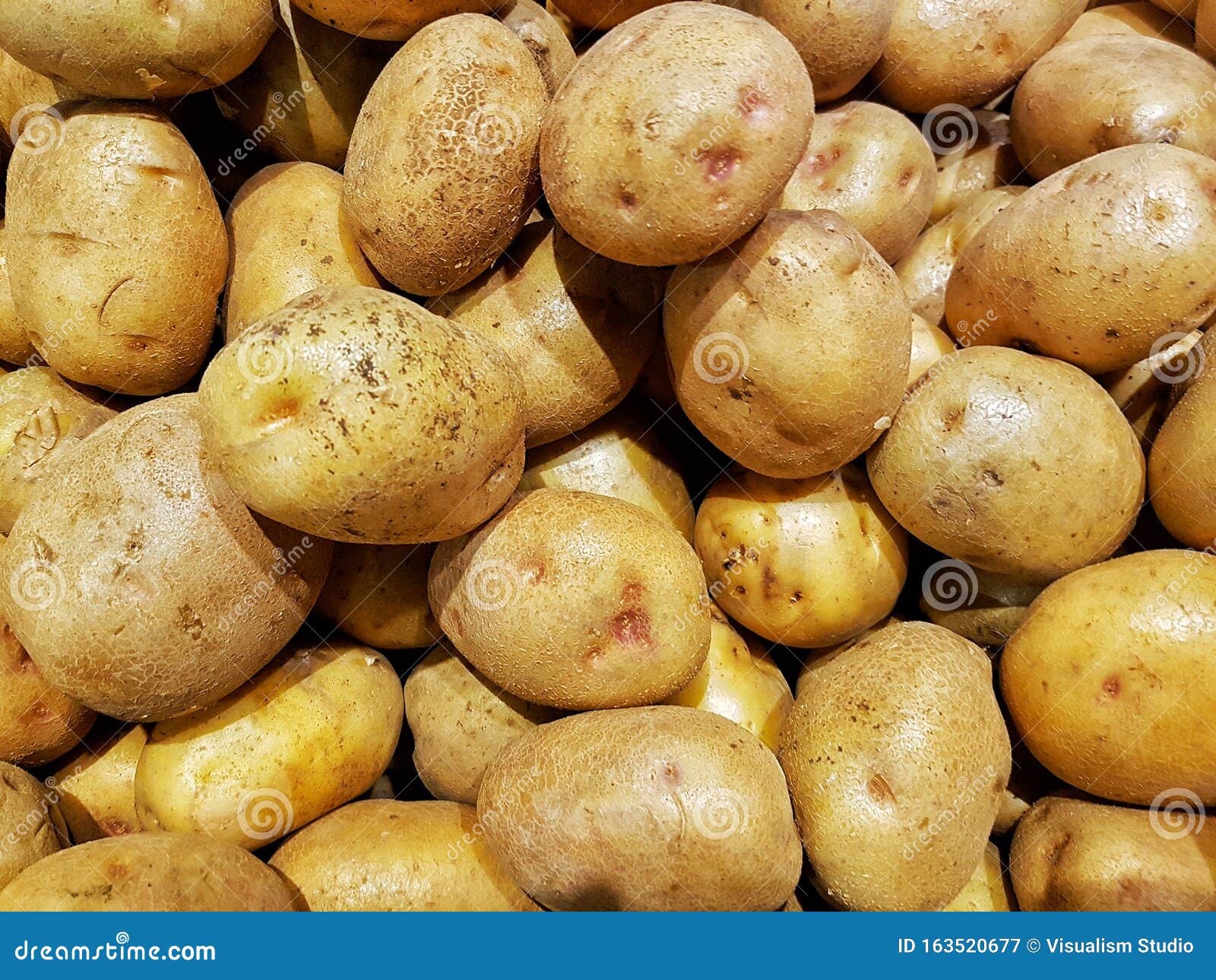 Potatoes with a Unique Color in One Container Stock Image - Image of ...