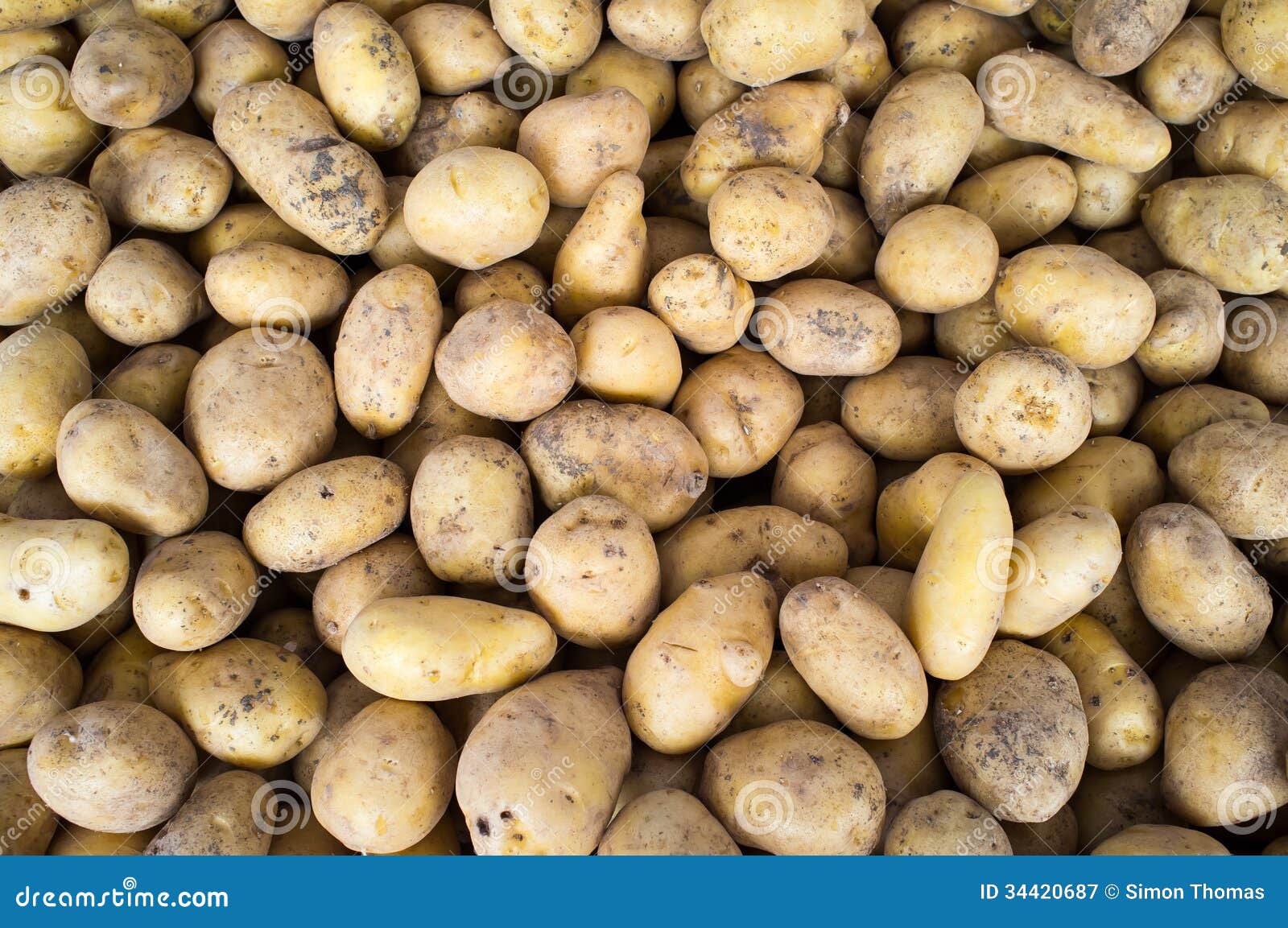 Potatoes stock image. Image of white, jacket, skins, boil - 34420687