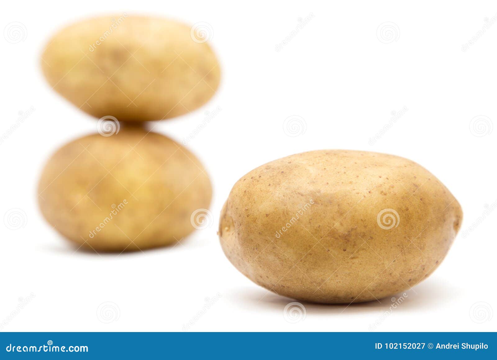 Potatoes on a White Background Stock Image - Image of eyespot, harvest ...