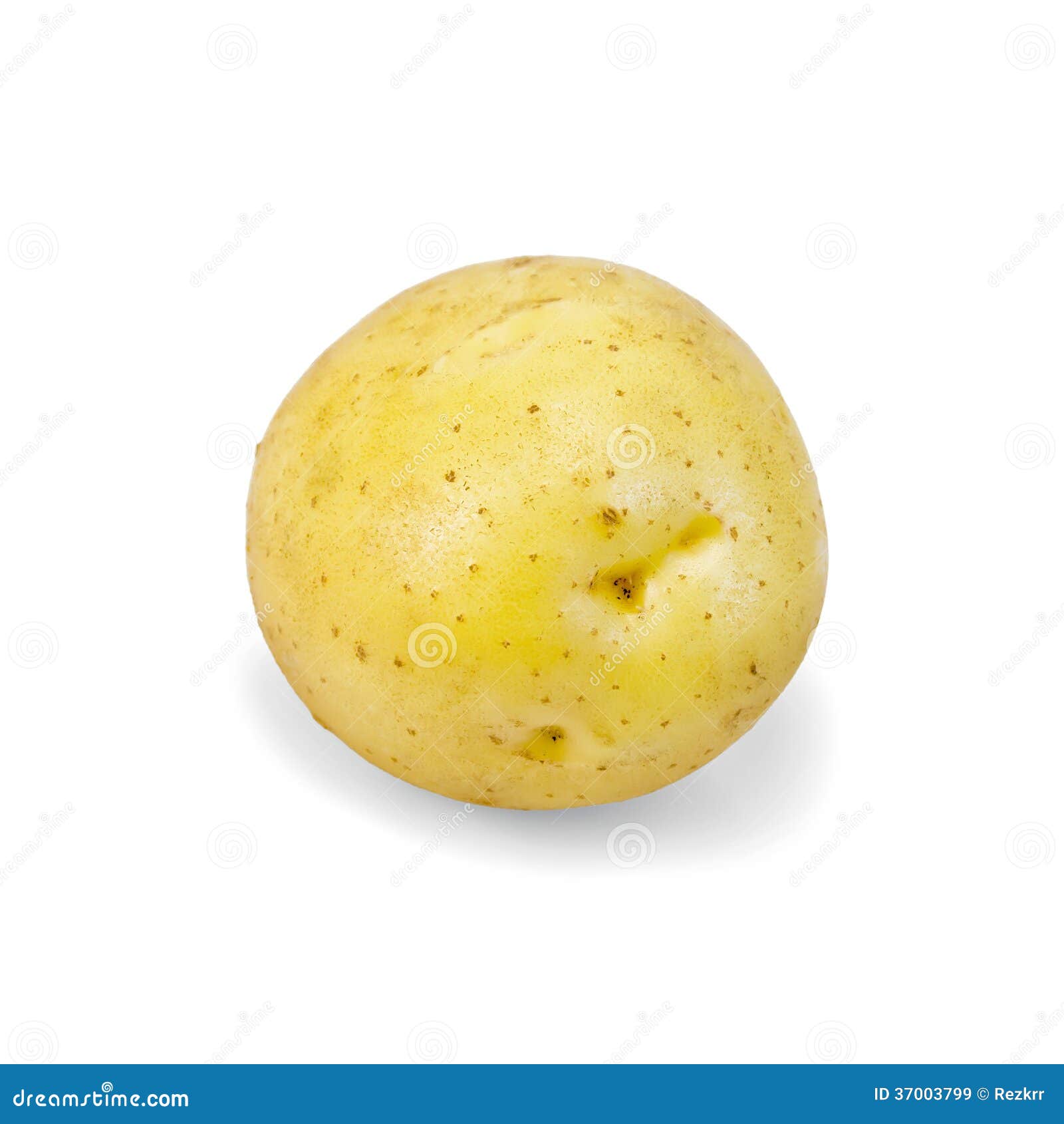 Potatoes yellow one stock image. Image of color, potato - 37003799