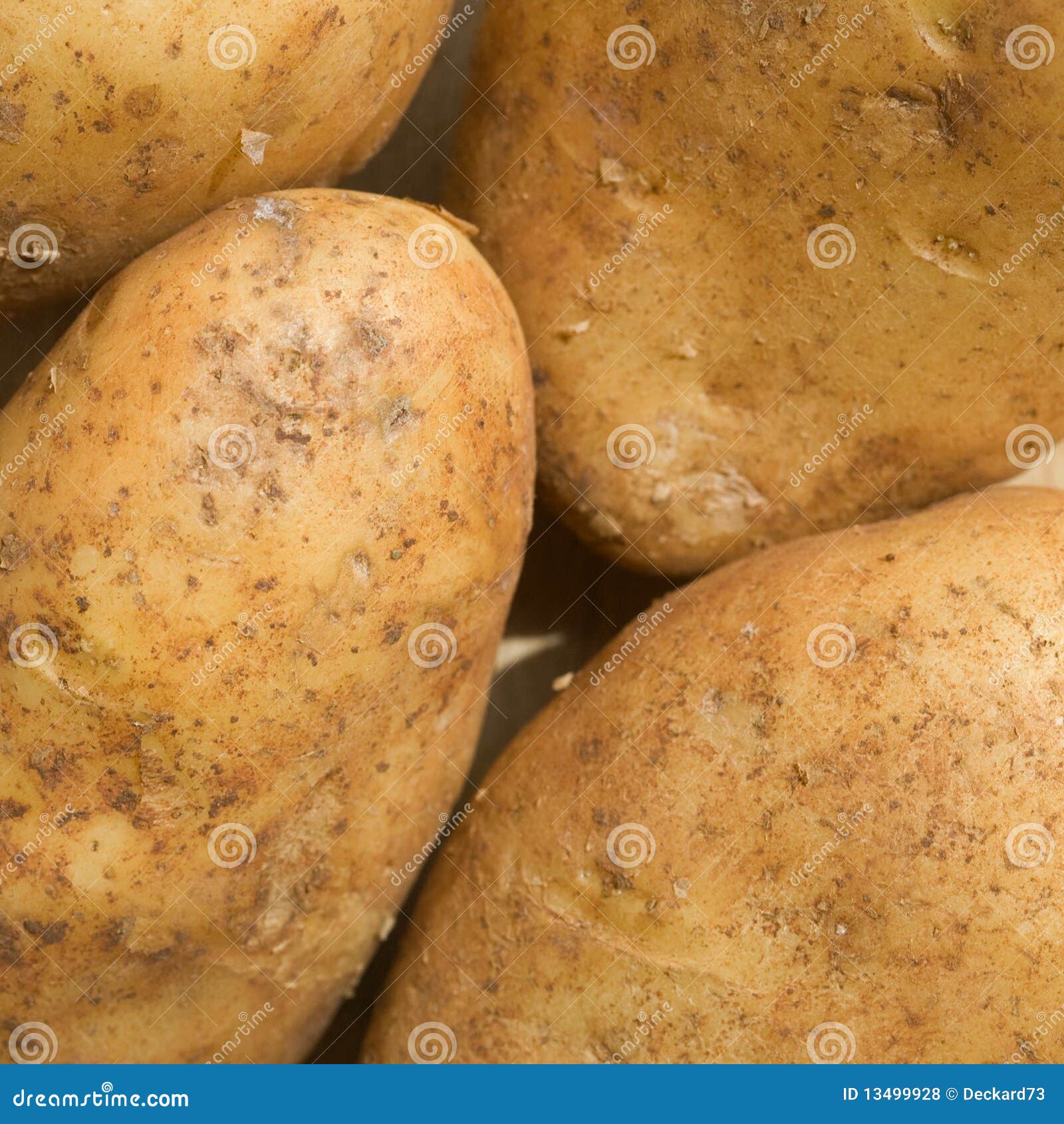 Potatos stock photo. Image of market, cooking, dishes - 13499928