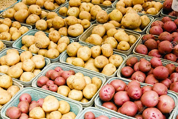 Potatos stock image. Image of ecology, natural, fair, groceries - 3517683
