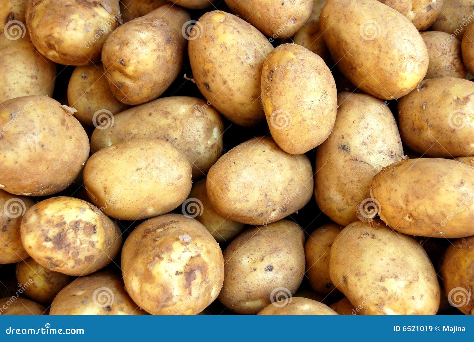Potatos stock image. Image of industry, potatos, vegetable - 6521019