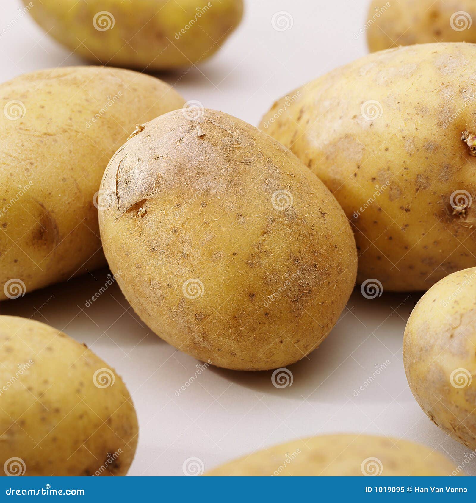 Potatos on whit stock image. Image of healthy, root, potatoes - 1019095