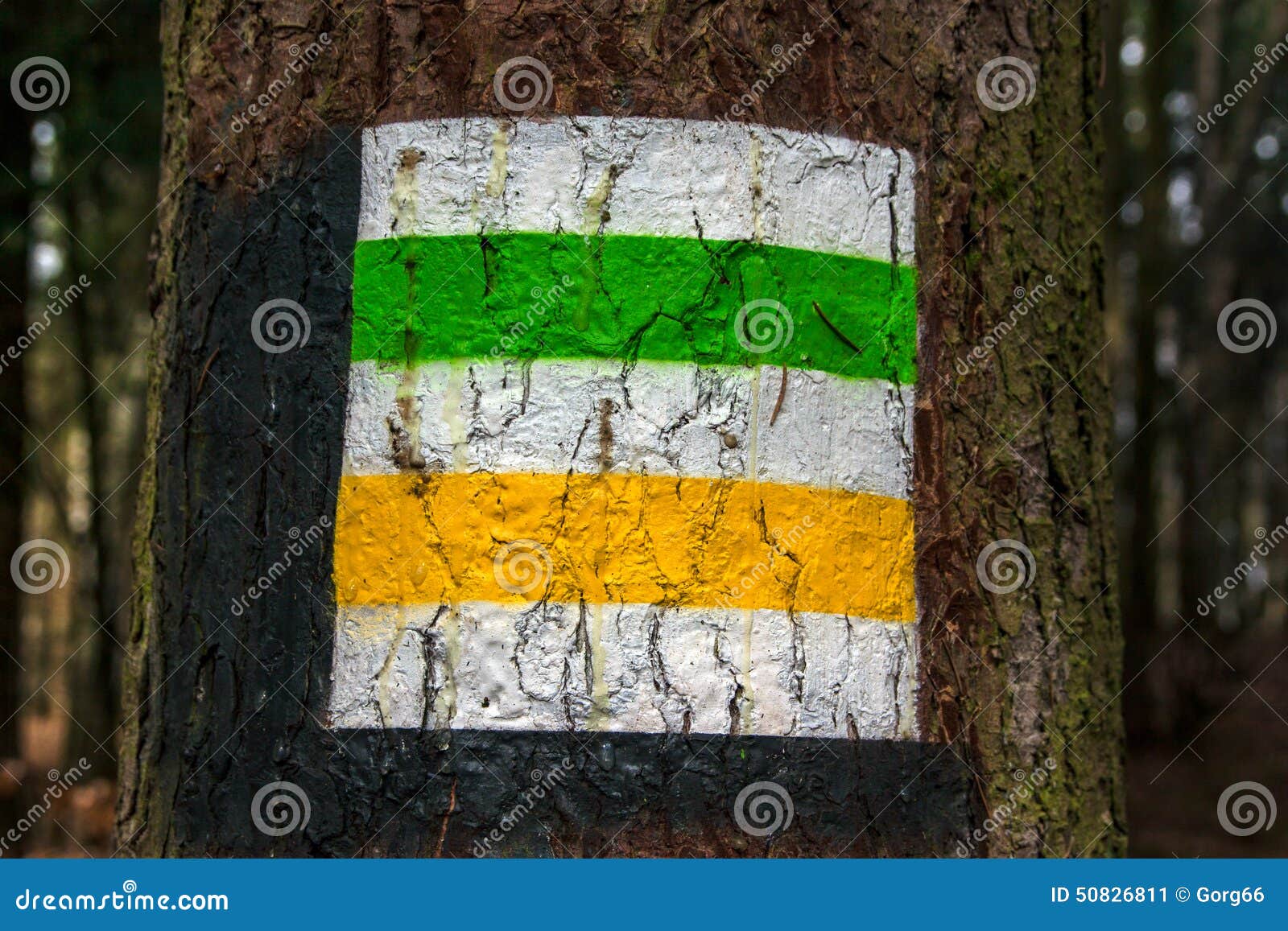 Poteau Indicateur De Direction D'arbre Image stock - Image du pilier ...