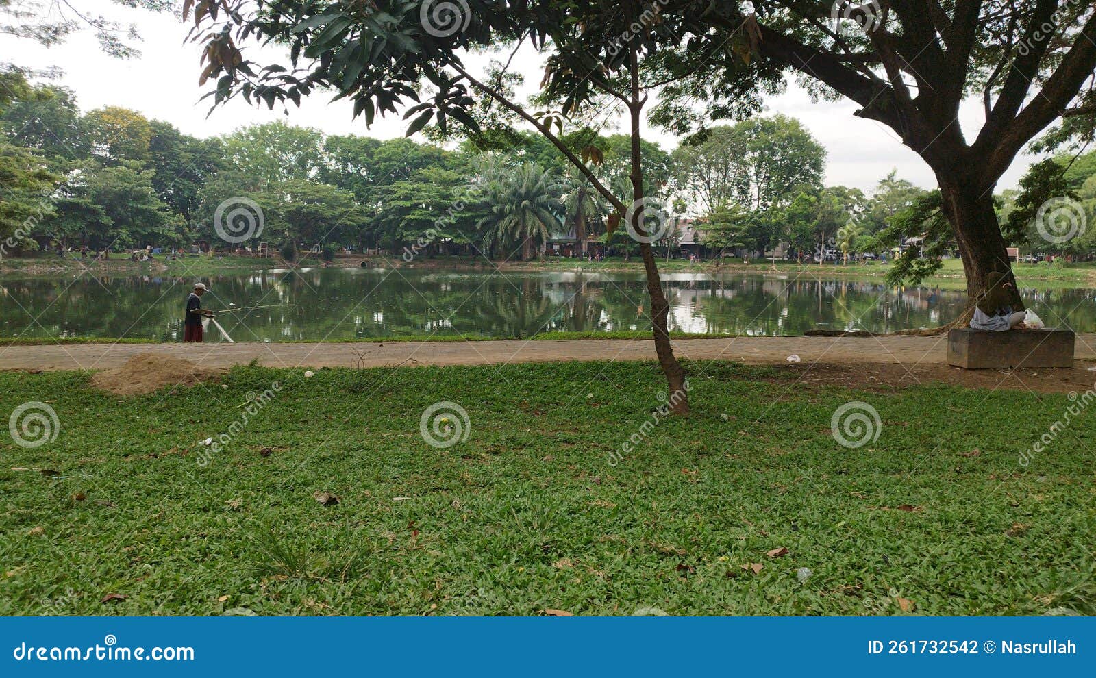 Potential Natural Resources Stock Photo - Image of pond, garden: 261732542