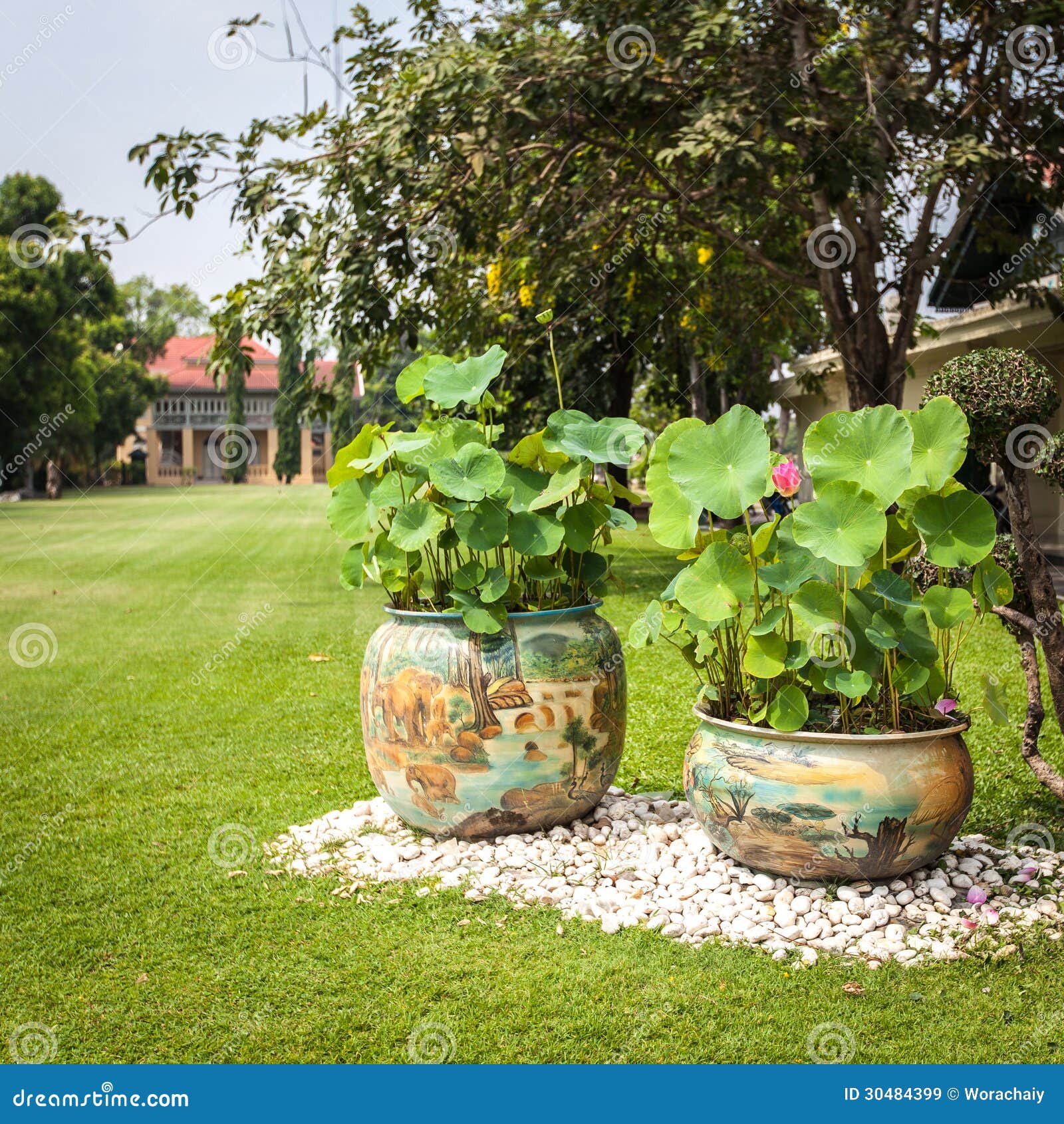 Potes de Lotus imagen de archivo. Imagen de agua, piedra - 30484399