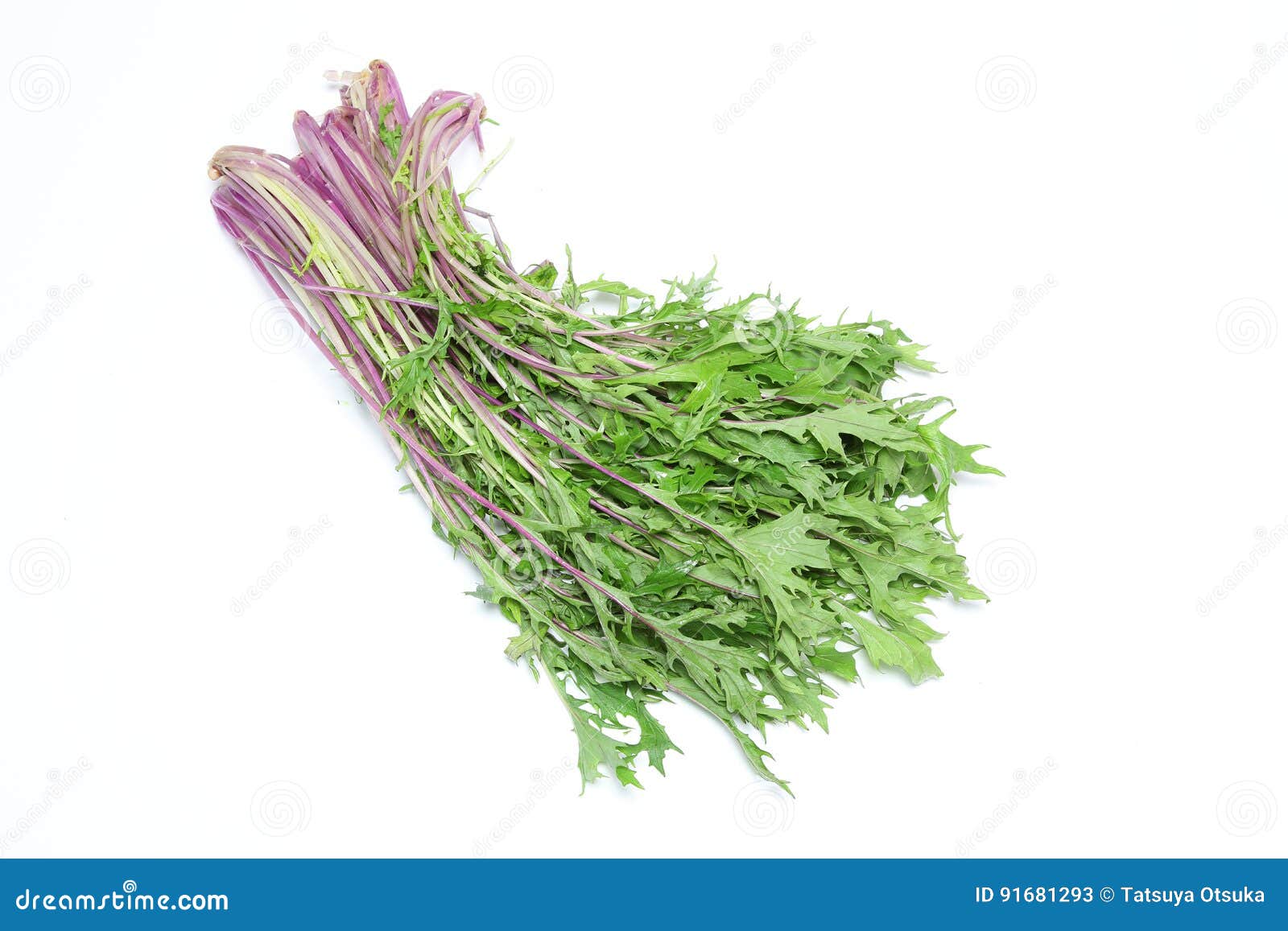 Potherb Mustard in a White Background Stock Image - Image of fresh ...