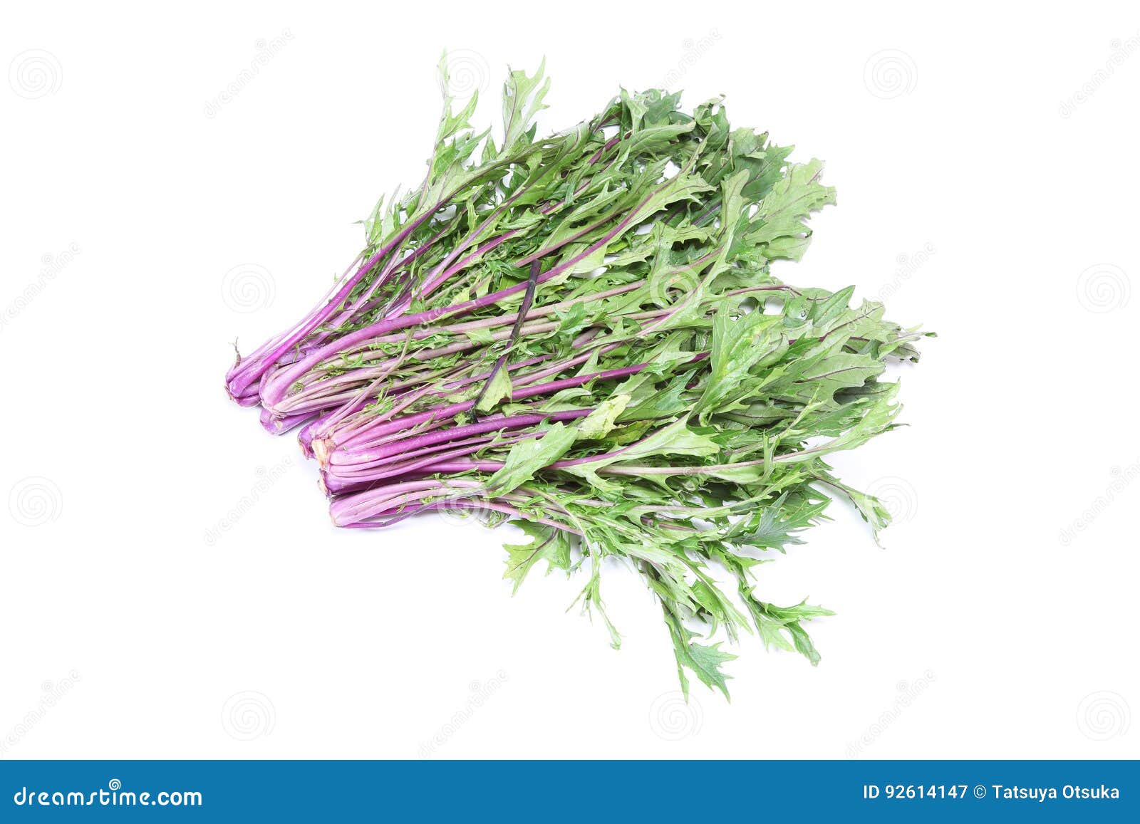Potherb Mustard in a White Background Stock Image - Image of fresh ...