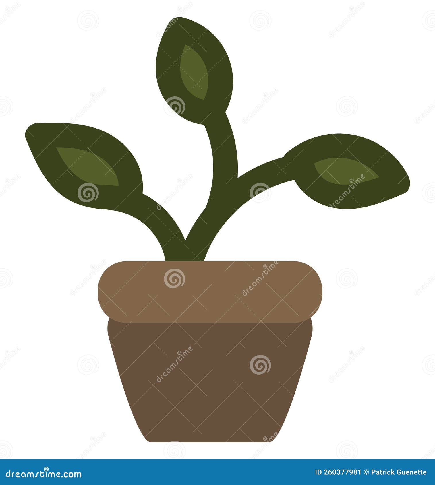 Pothos plant in pot, icon stock vector. Illustration of graphic - 260377981