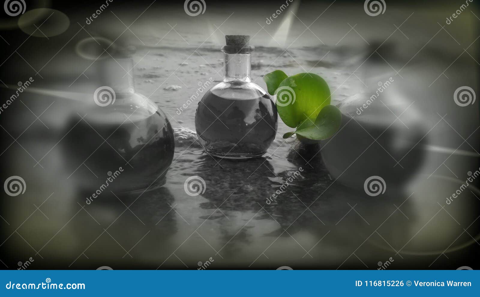 Potion splash stock photo. Image of plants, potion, splash - 116815226