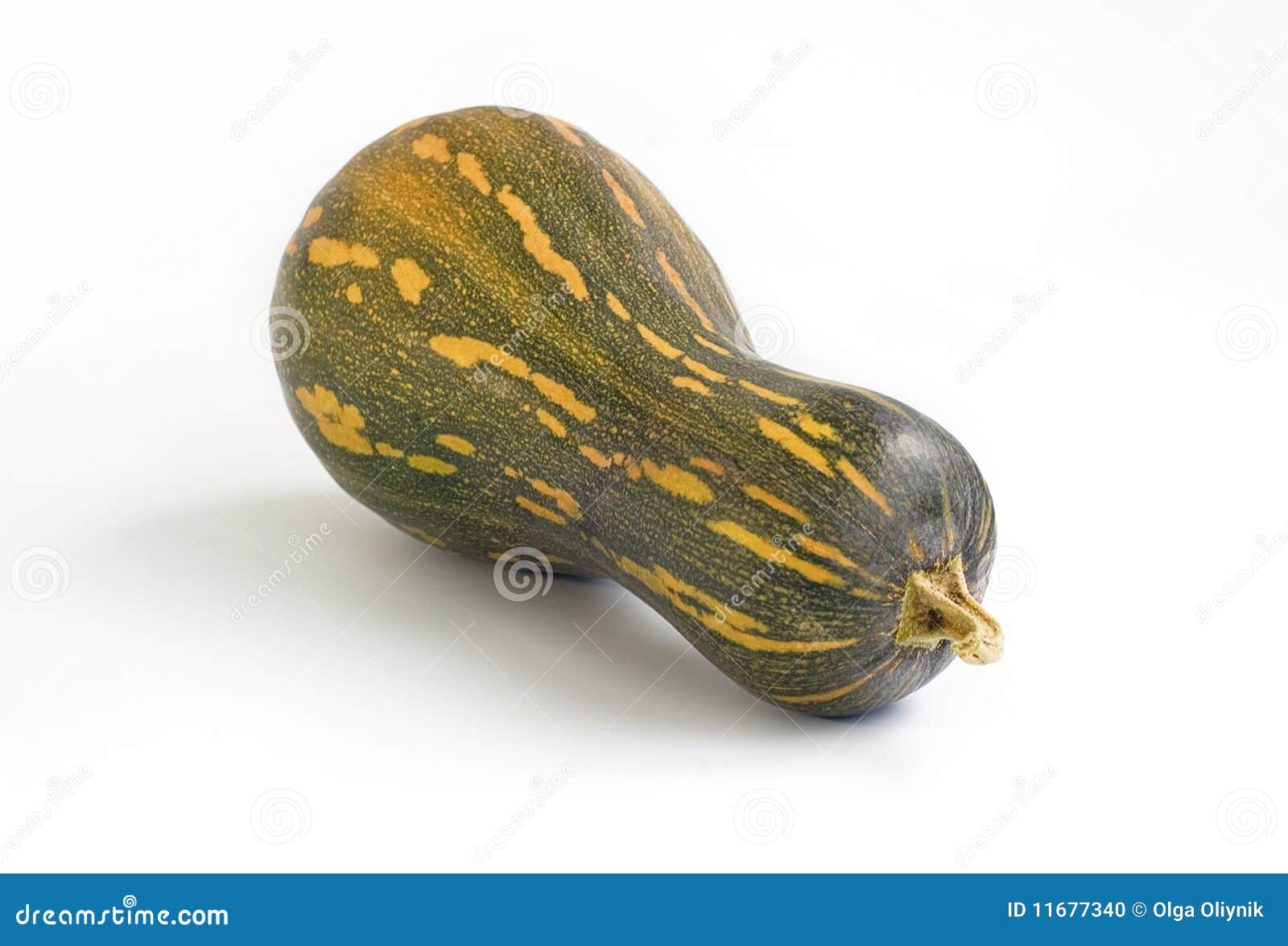 Potiron photo stock. Image du ornemental, produit, comestible - 11677340