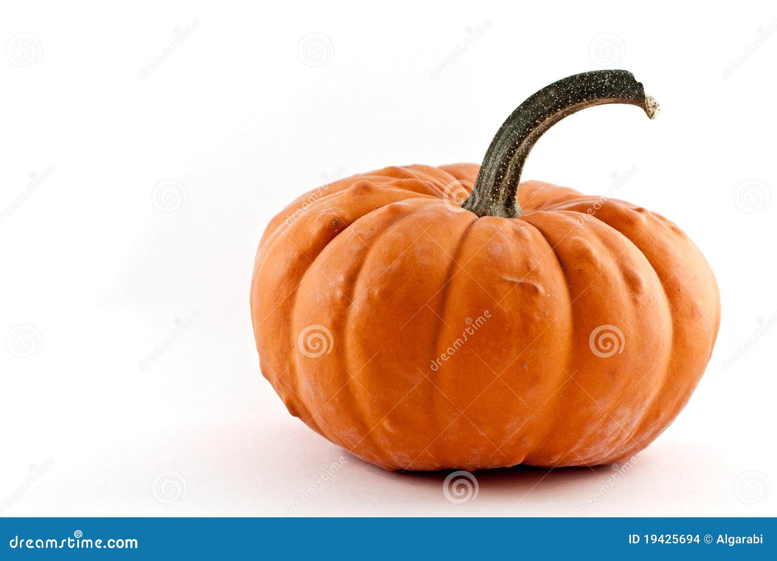 Potiron photo stock. Image du normal, conception, orange - 19425694