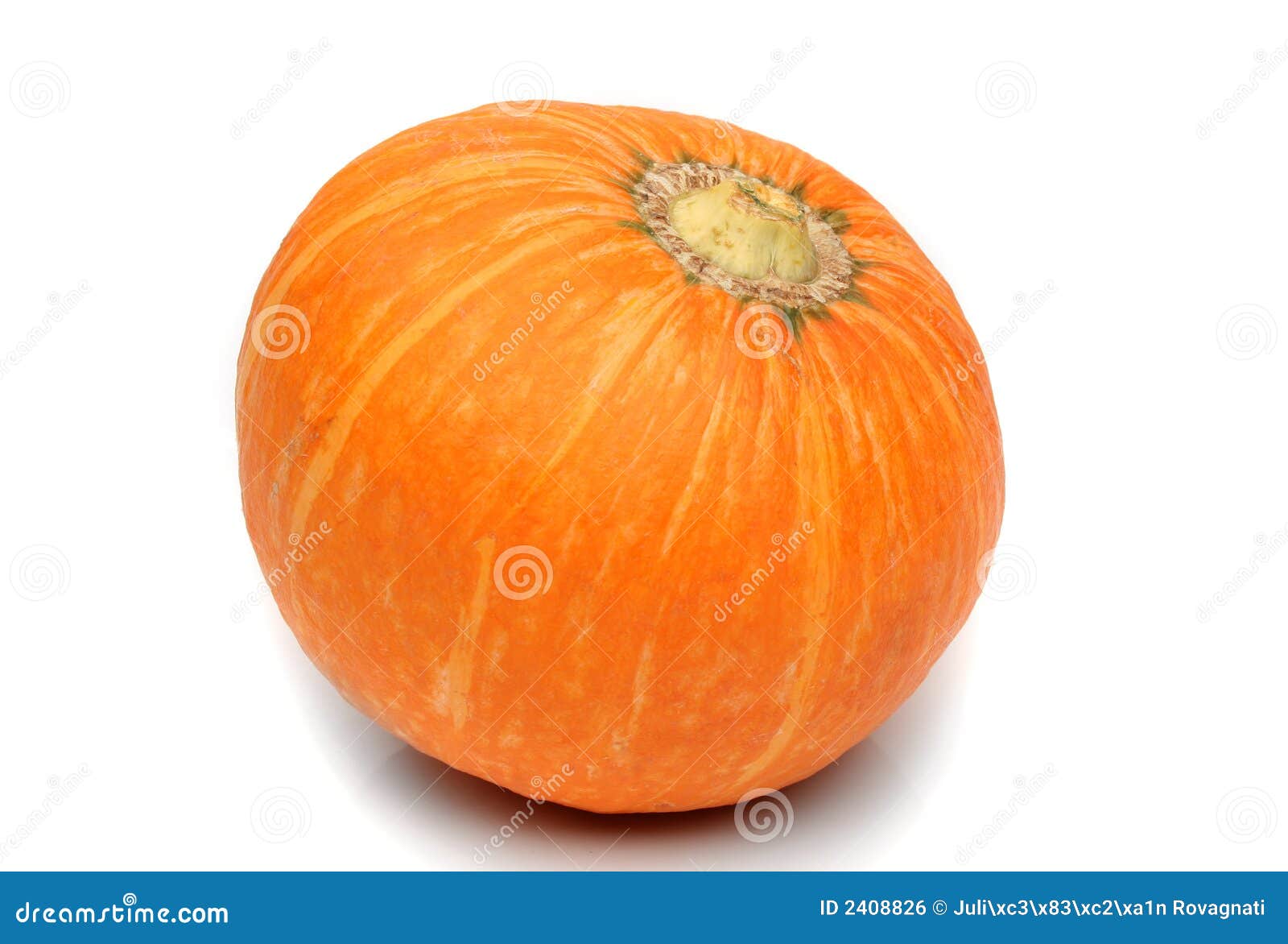 Potiron D'isolement Image. Image: 2408826