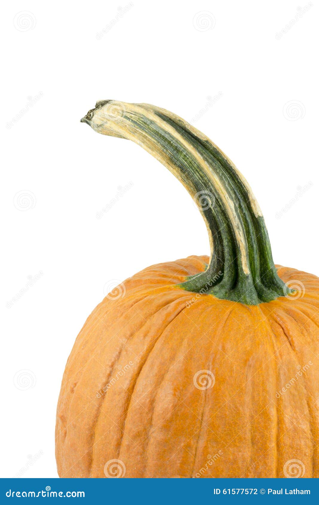 Potiron d'isolement photo stock. Image du fond, légume - 61577572