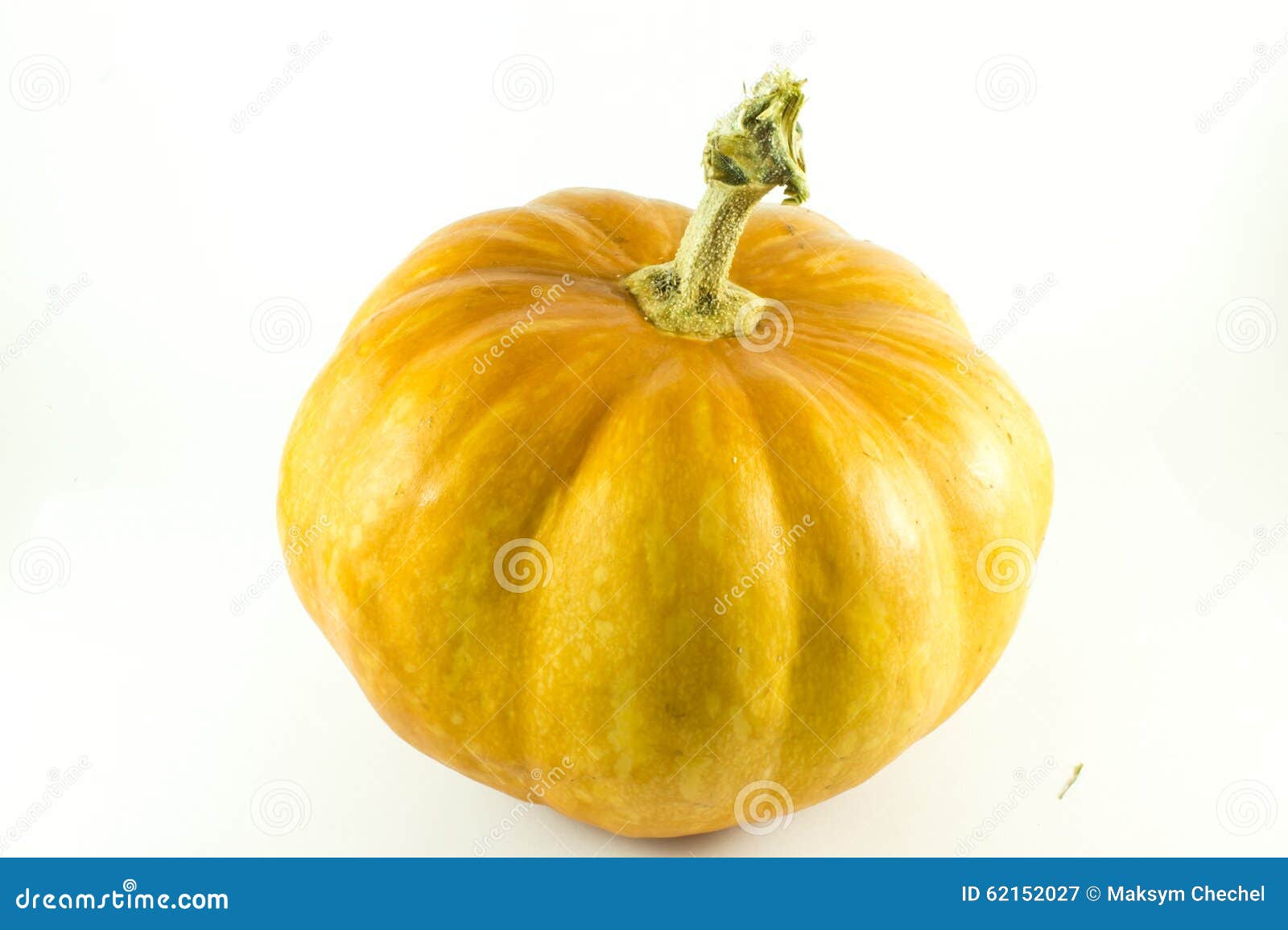 Potiron d'isolement image stock. Image du moisson, halloween - 62152027