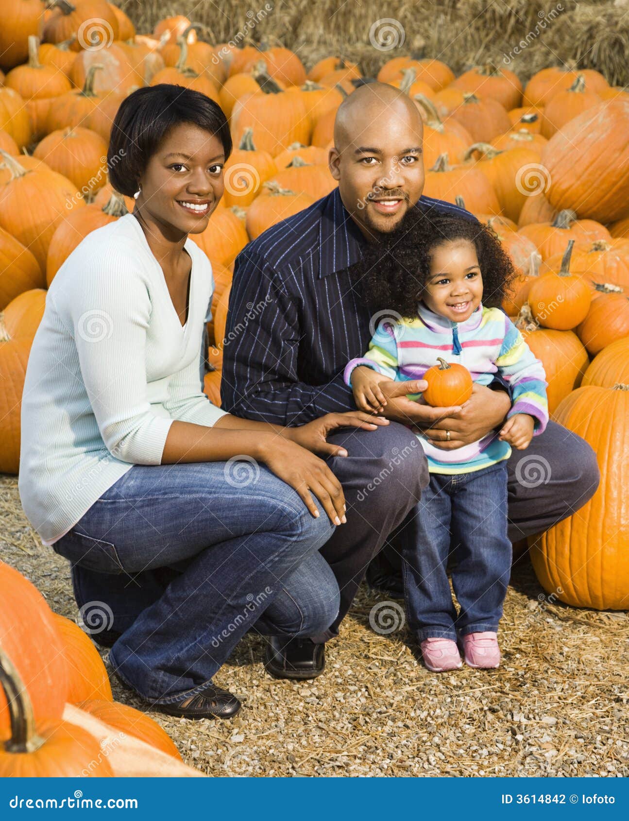 Potiron De Cueillette De Famille. Photo stock - Image du choix, contact ...