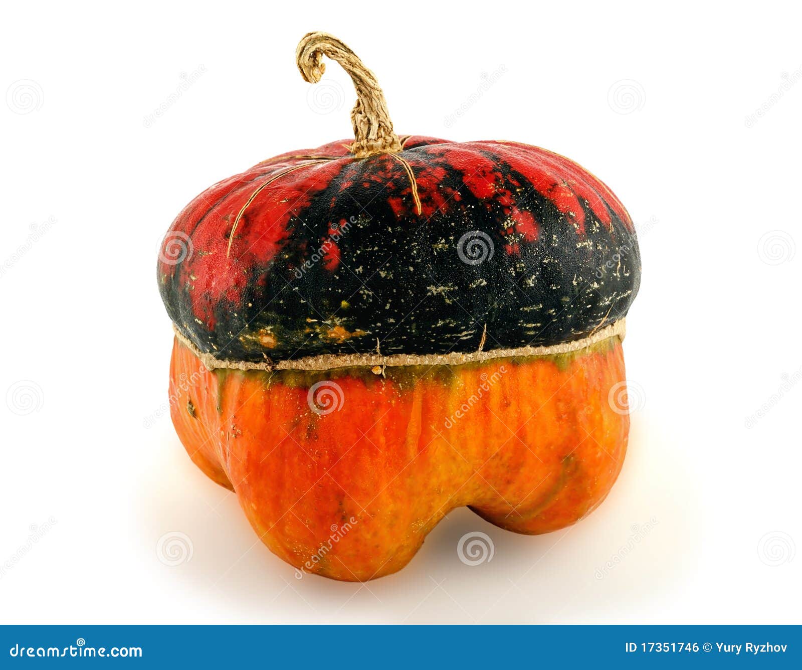 Potiron De Forme Exceptionnelle Photo stock - Image du automne, turban ...