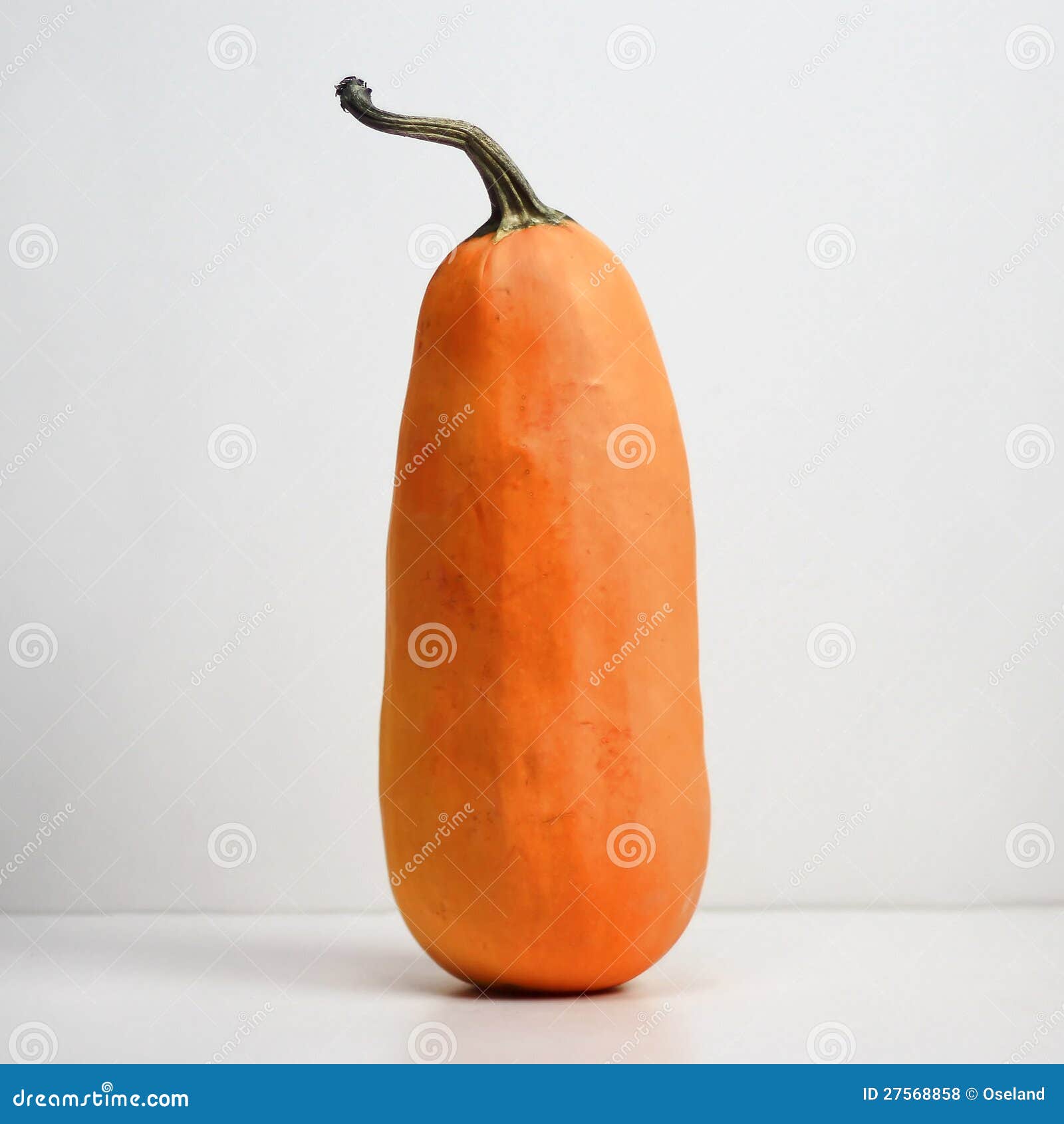 Potiron mince grand photo stock. Image du automne, halloween - 27568858