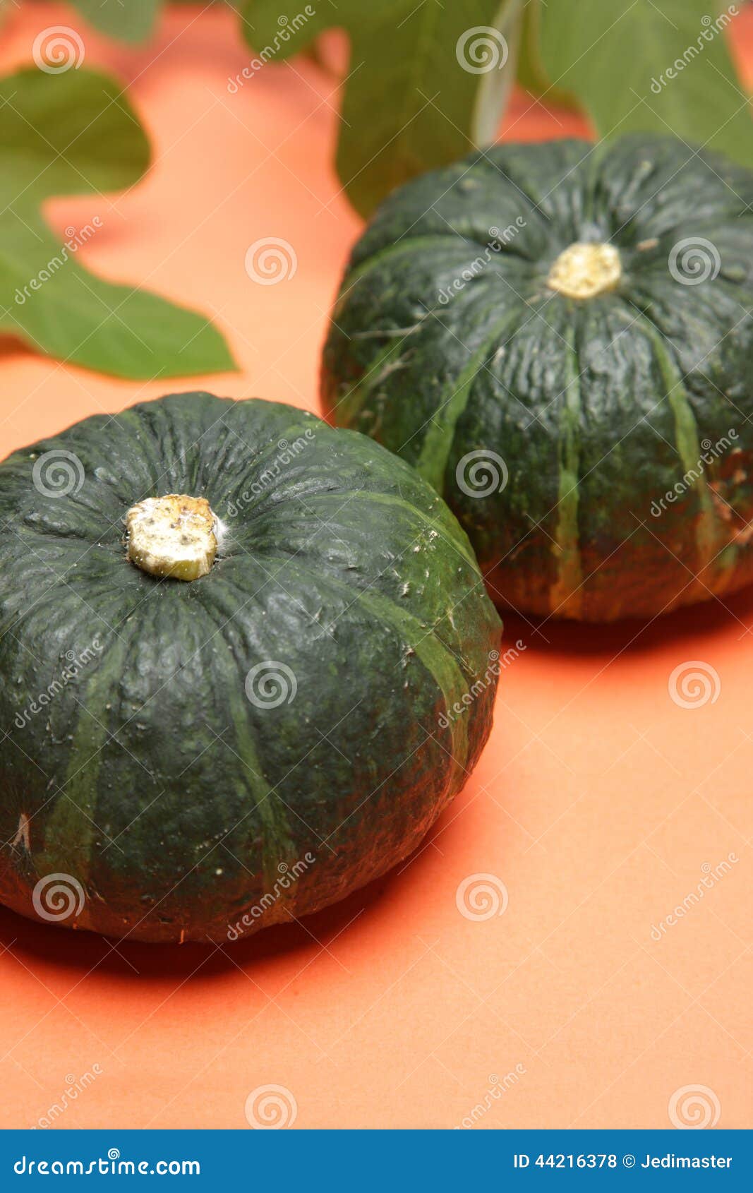 Potiron vert photo stock. Image du objet, blanc, frais - 44216378