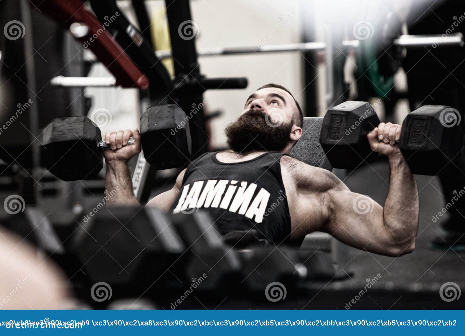 Poto Bodybuilder Working Out in a Gym Stock Image - Image of club ...
