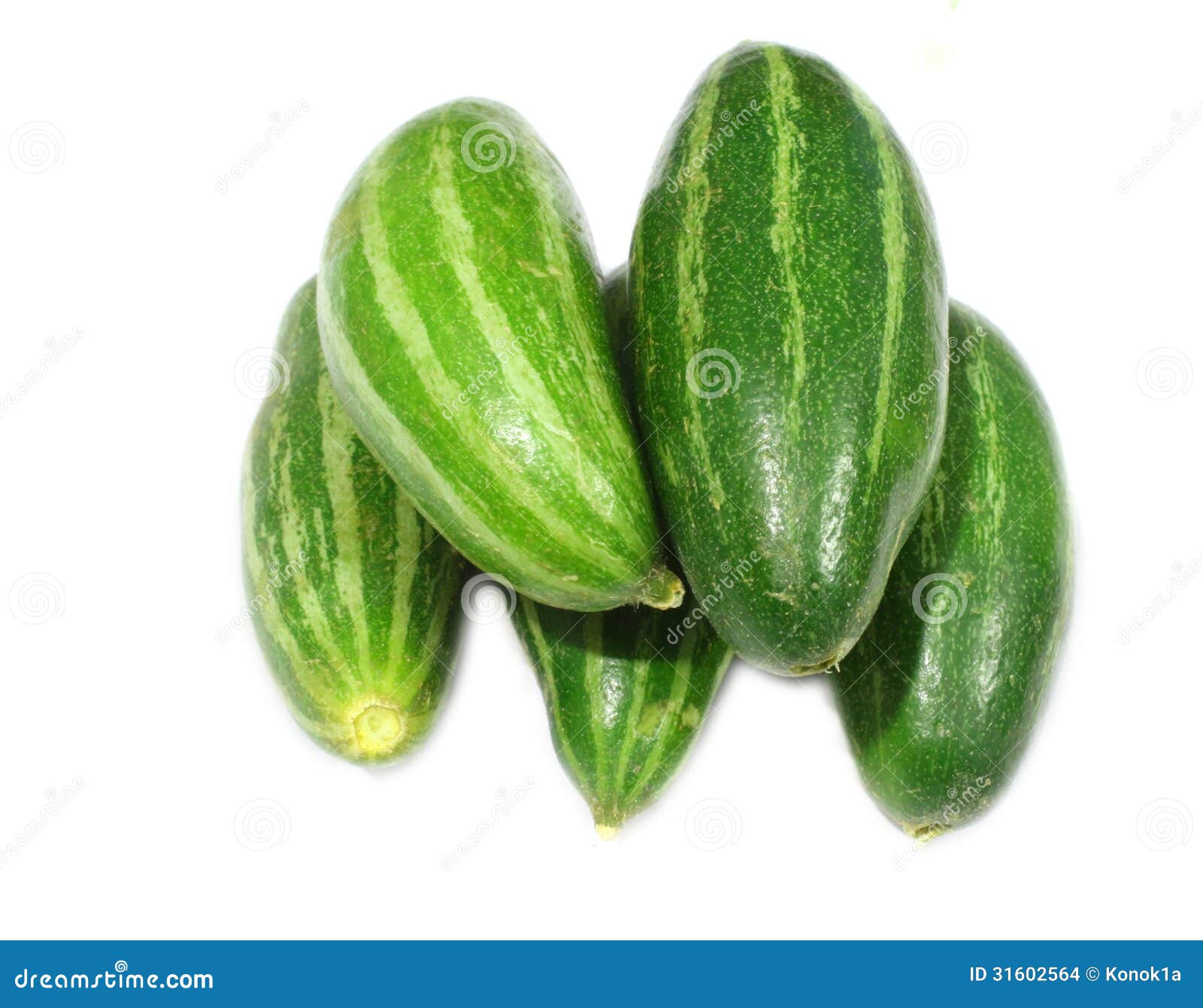 Potol or Trichosanthes Dioica Stock Photo - Image of healthy, potol ...