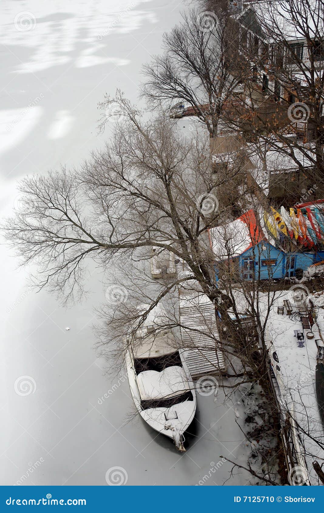 Potomac river stock photo. Image of relaxed, nature, park - 7125710