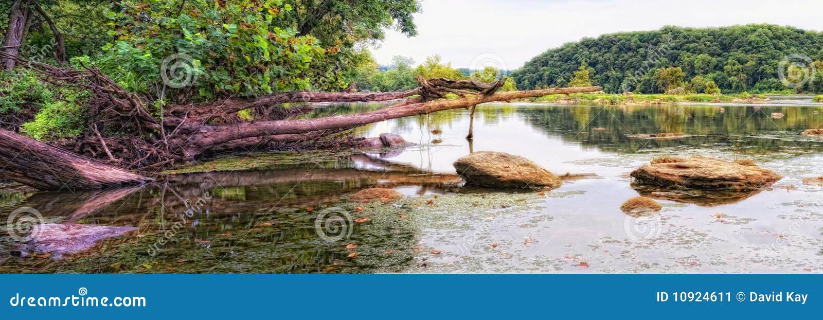 Potomac River panorama stock image. Image of forest, green - 10924611