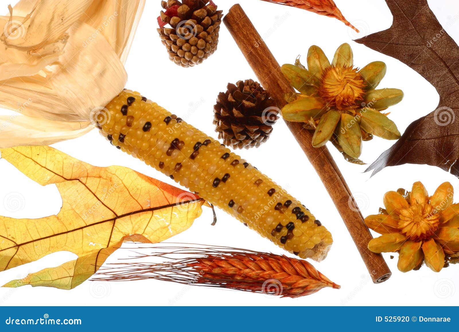 Potpourri of Autum Indian Corn, Cinnamon Stick,dried Flowers & Pine ...