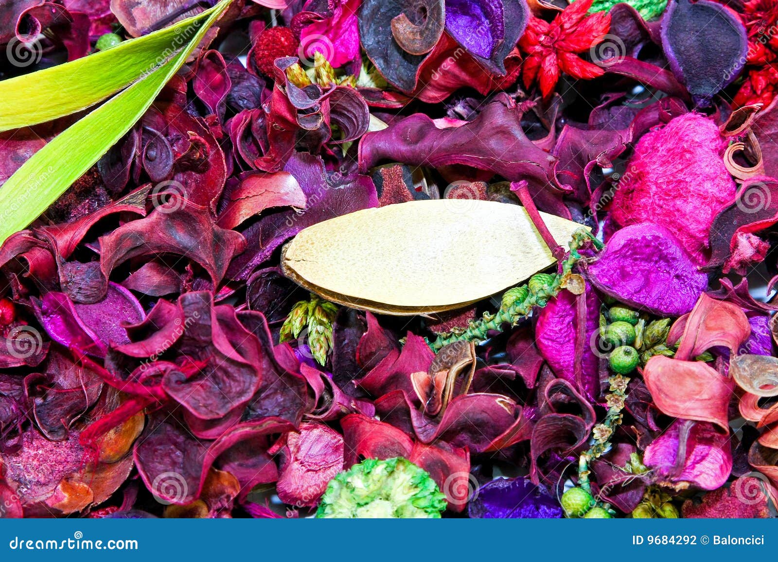 Potpourri Leaves Picture. Image: 9684292