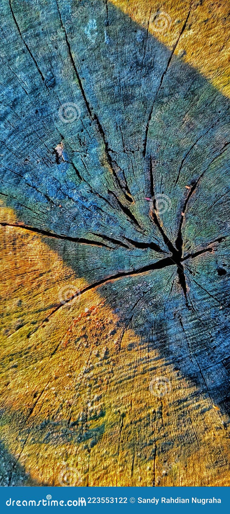 Potrait Background Natural of Face Cutting Tree with Shadows Stock ...