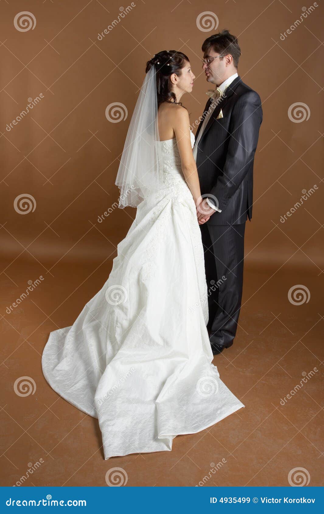 Potrait of bride and groom stock image. Image of betrothal - 4935499