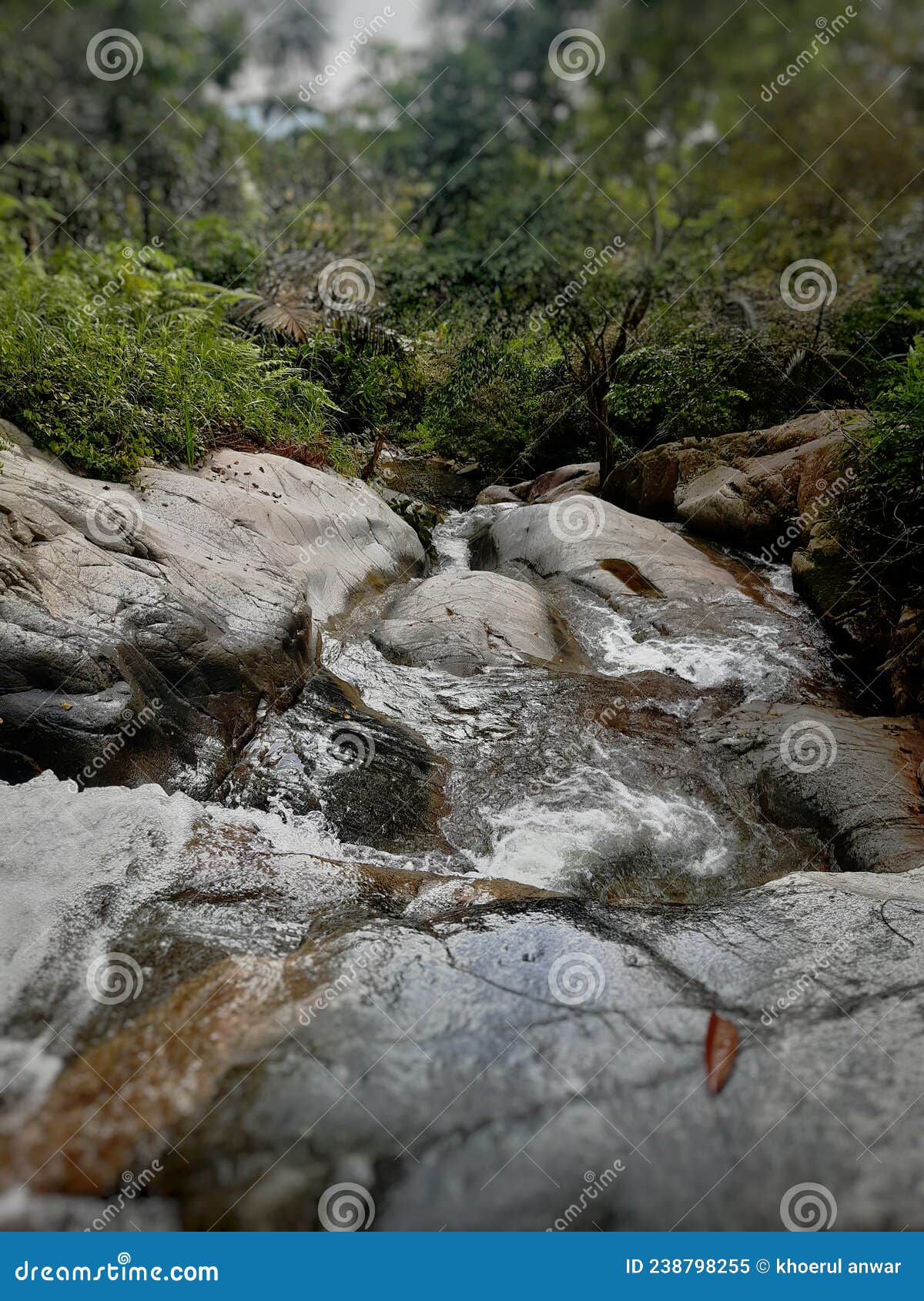 Potrait of Water Flowing in the River Stock Image - Image of waterfall ...