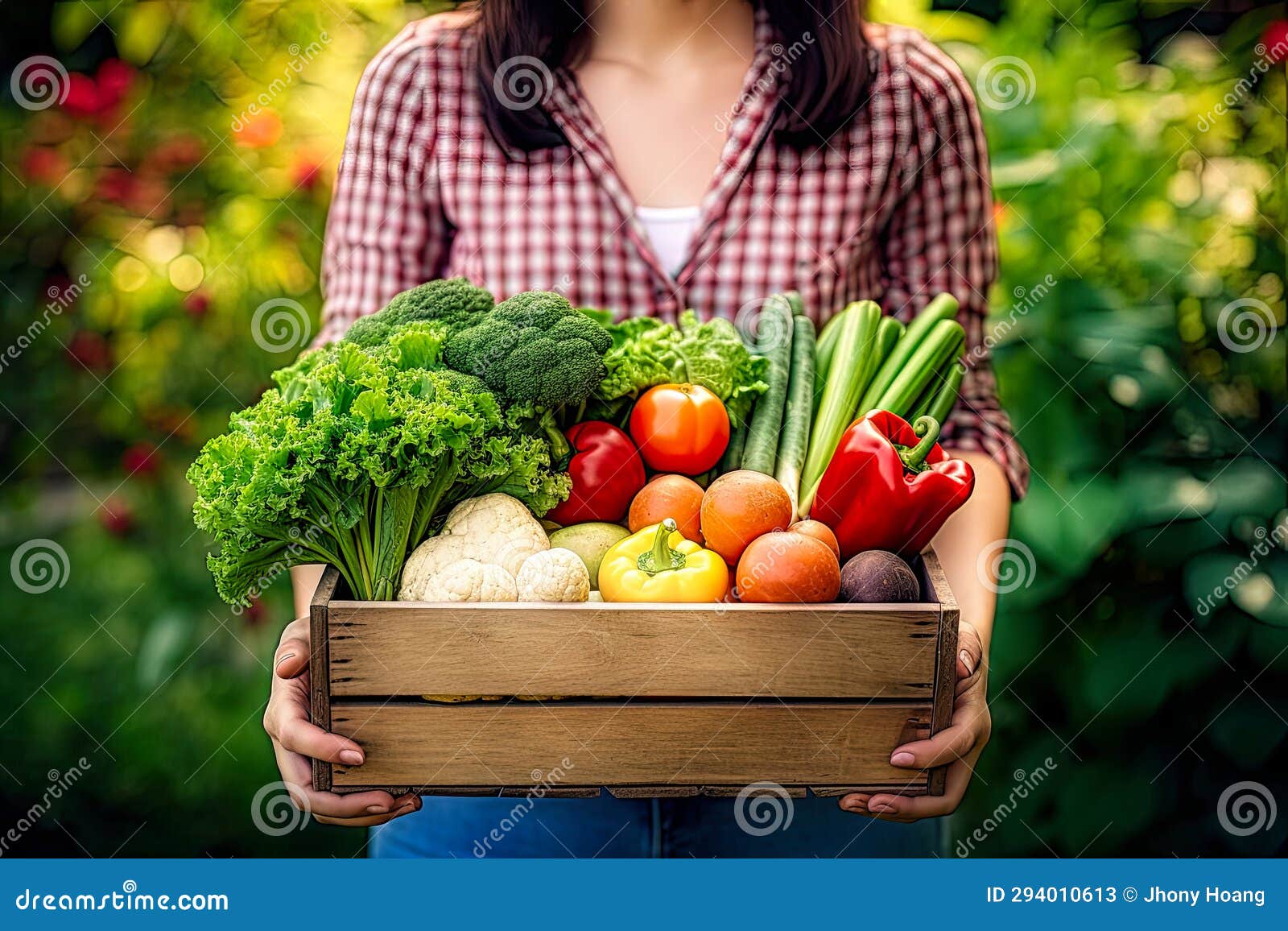 Potraits of Hands Holding Various Types of Vegetables Stock ...