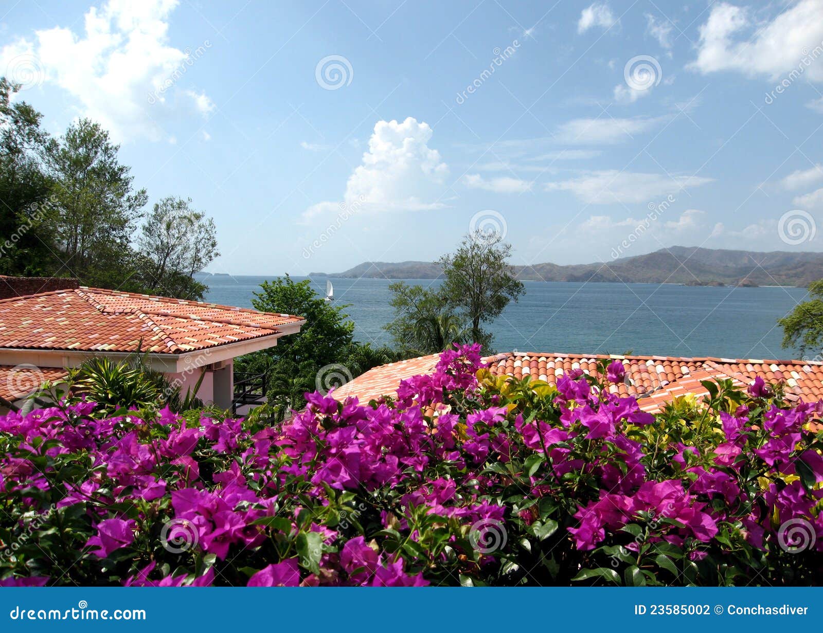 Potrero bay, costa rica stock photo. Image of pacific - 23585002