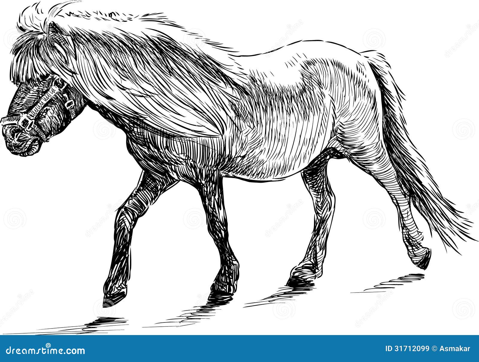 Potro ilustración del vector. Ilustración de nakamura - 31712099