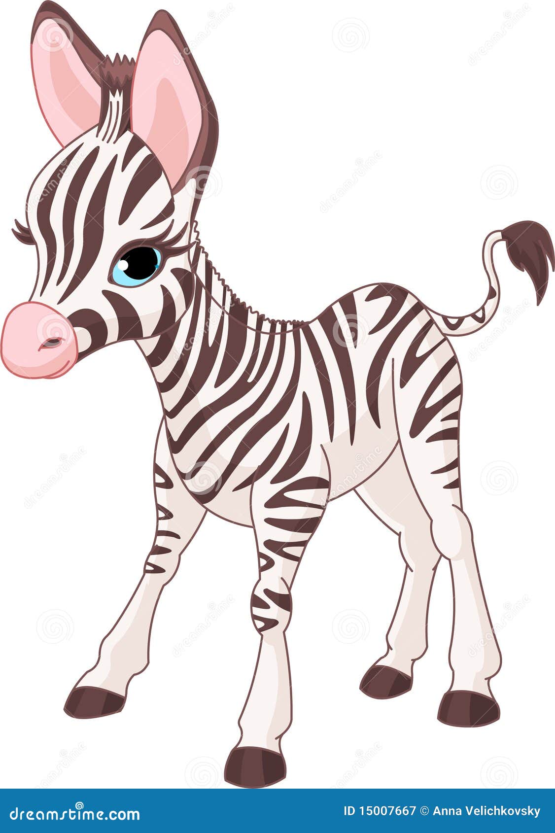 Potro bonito da zebra ilustração do vetor. Ilustração de grampo - 15007667
