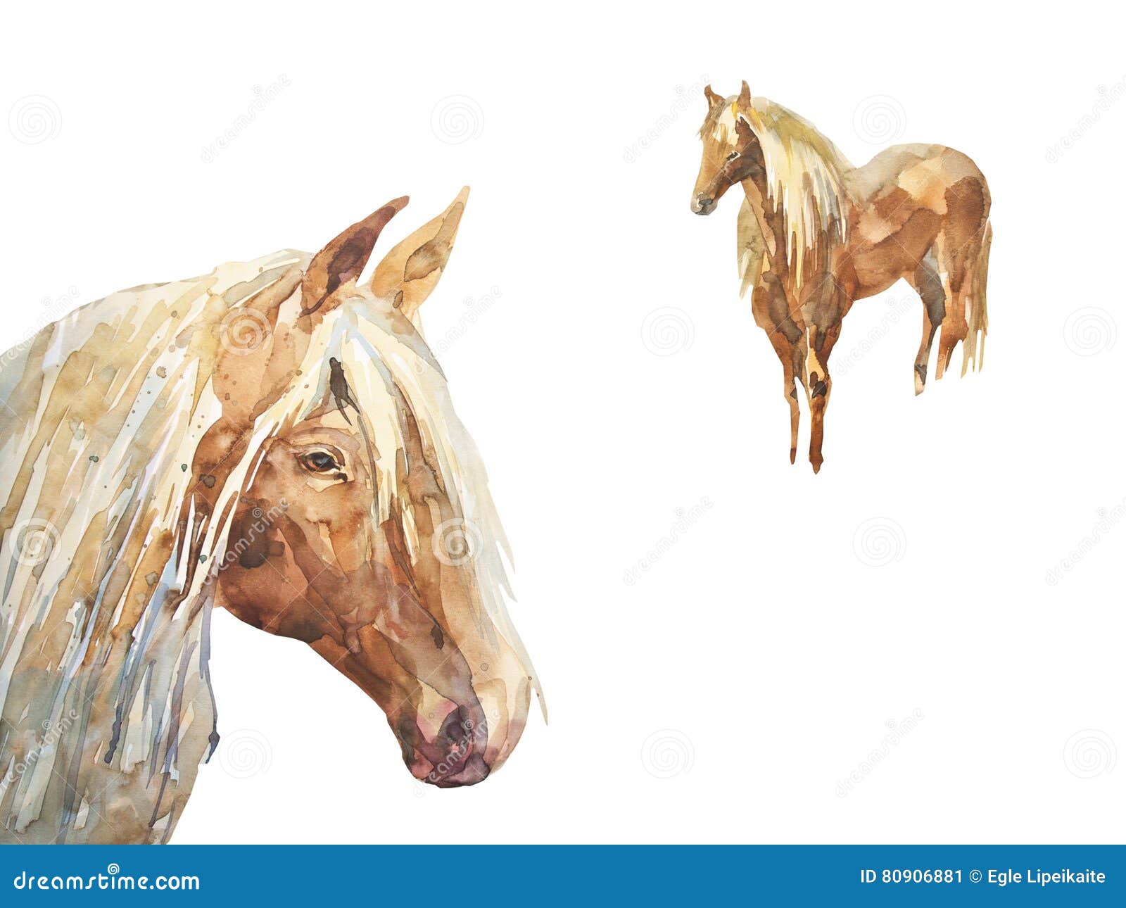 Potro en el prado stock de ilustración. Ilustración de belleza - 80906881