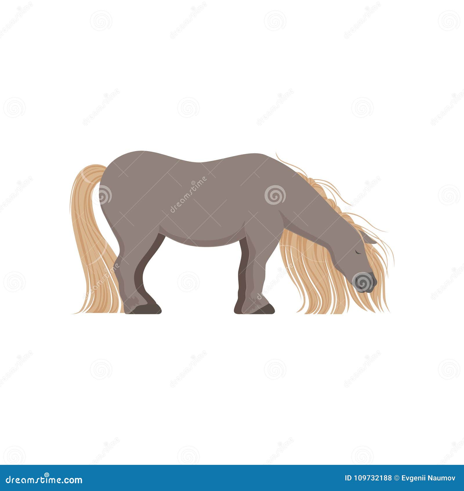 Potro Gris Lindo, Ejemplo Excelente Del Vector Del Caballo Ilustración ...