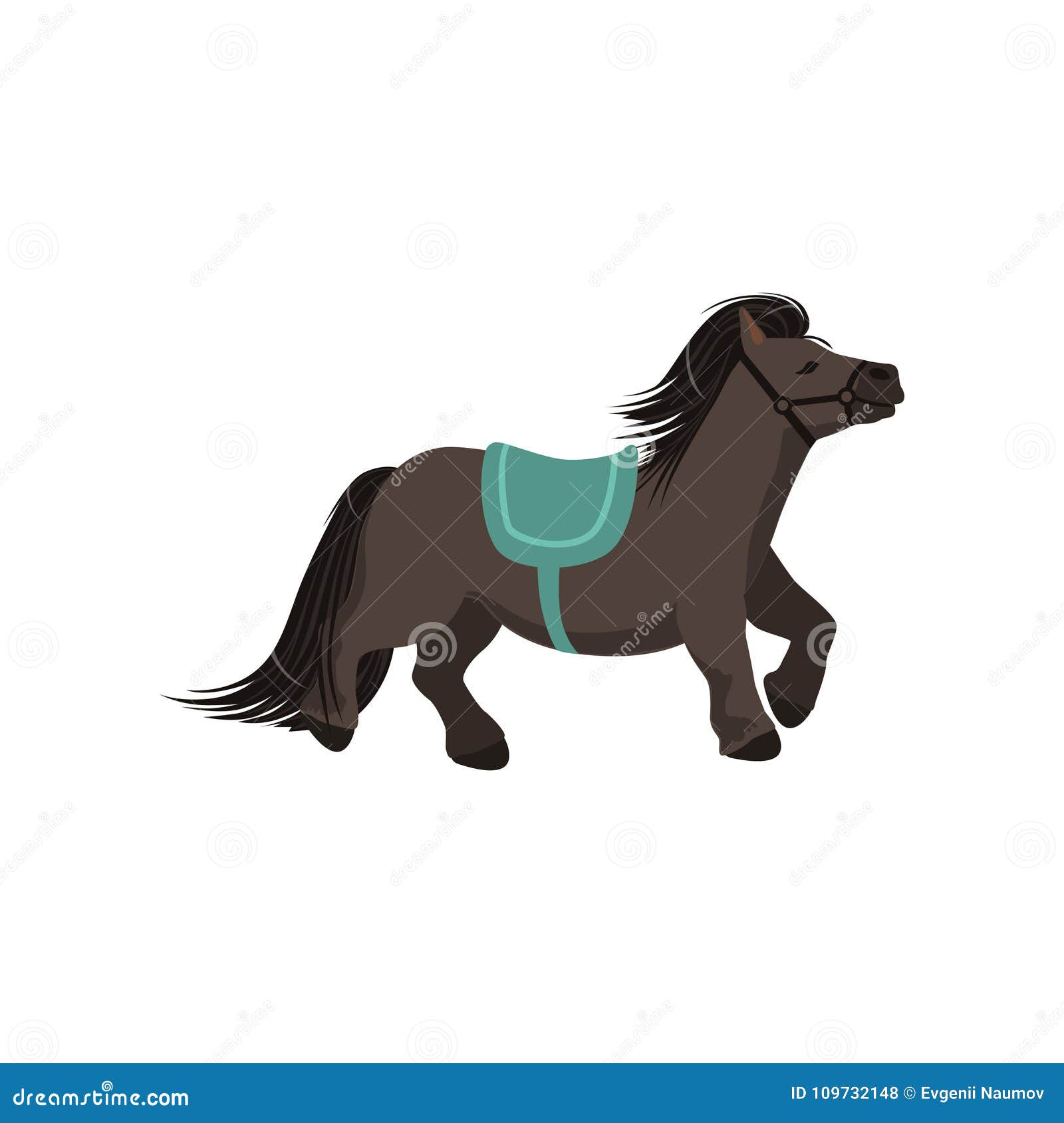 Potro Gris Oscuro Lindo, Ejemplo Excelente Del Vector Del Caballo ...