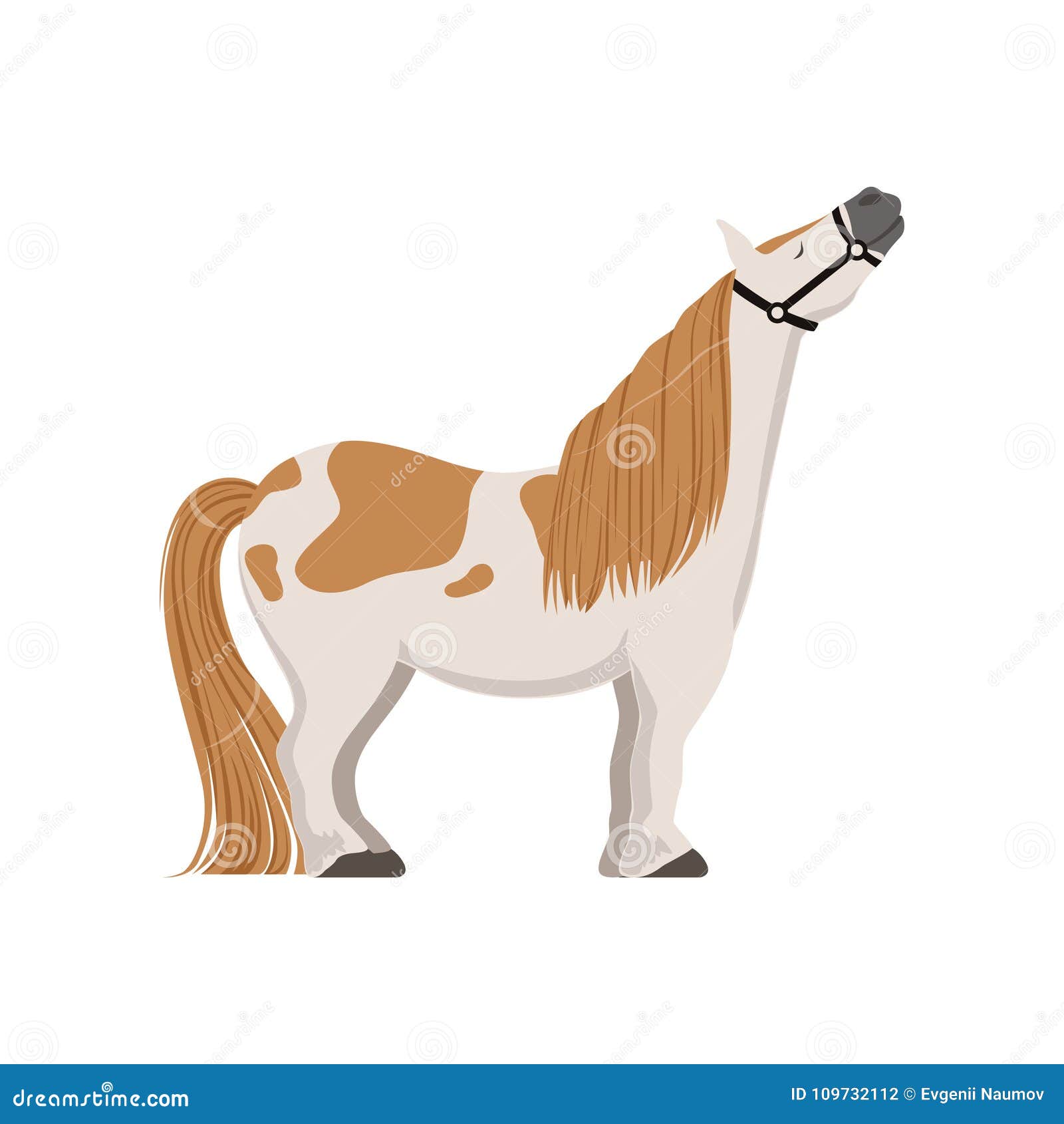 Potro Manchado Lindo, Ejemplo Excelente Del Vector Del Caballo ...