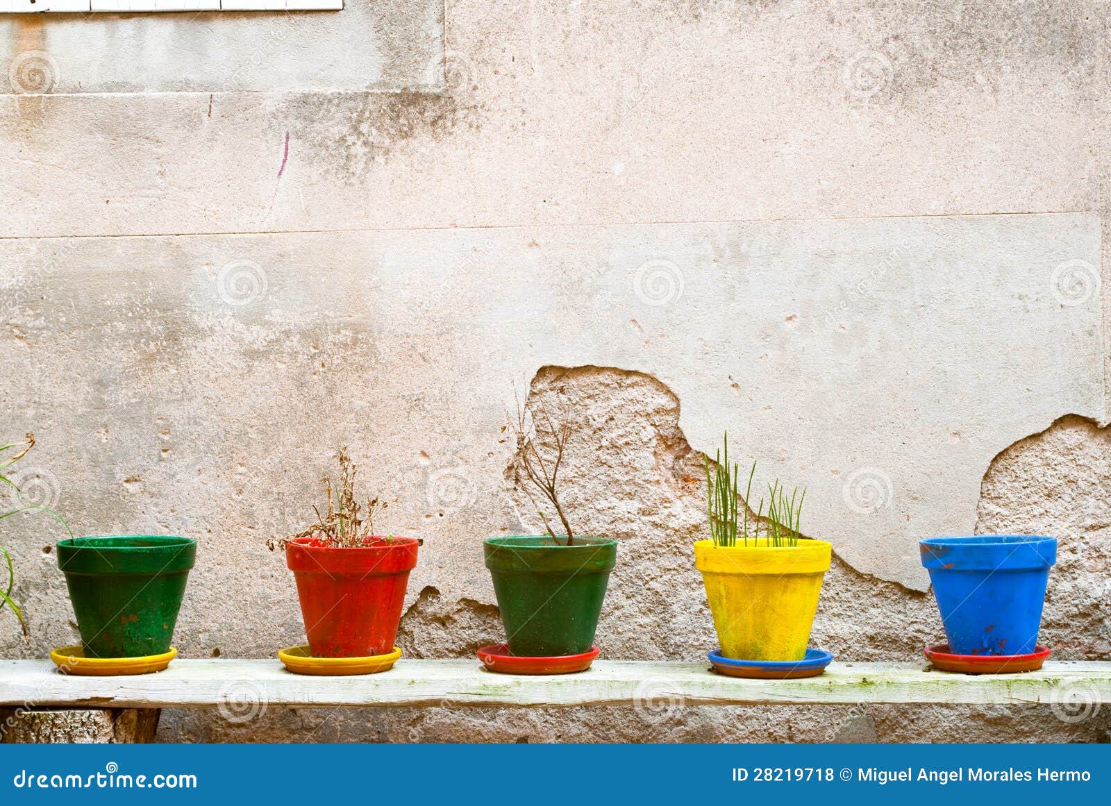 Pots of color stock photo. Image of street, plants, urban - 28219718