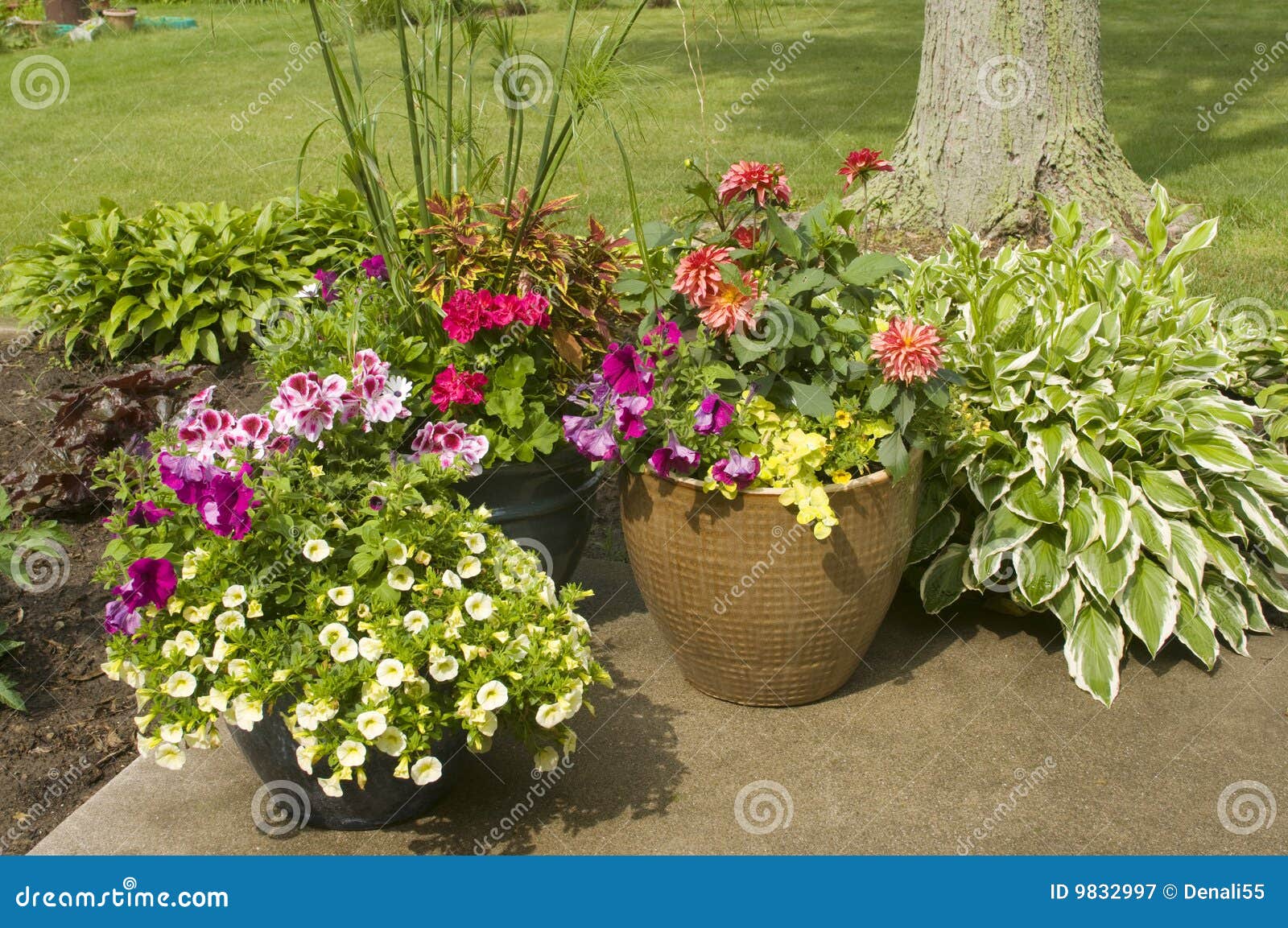 Pots of colorful flowers stock image. Image of plants - 9832997