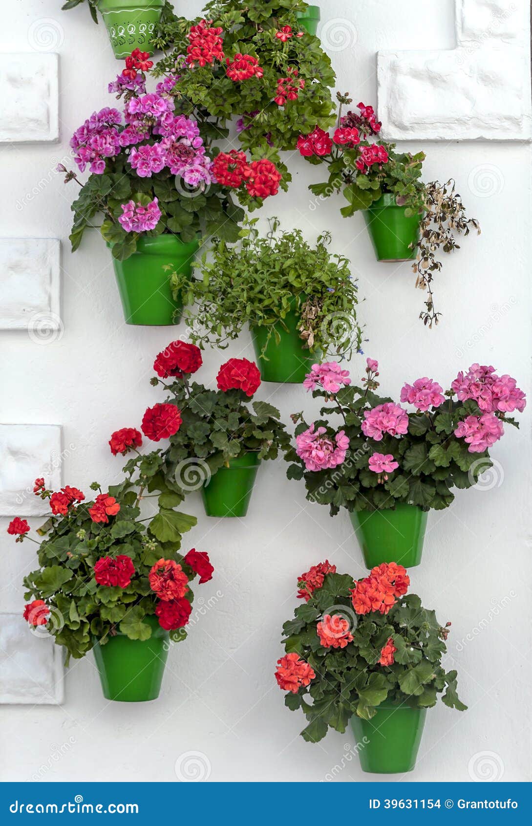 Pots with colorful flowers stock photo. Image of hanging - 39631154