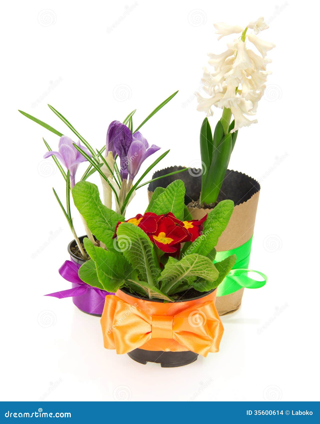 Pots with the Different Flowers, Decorated by Tape Stock Photo - Image ...