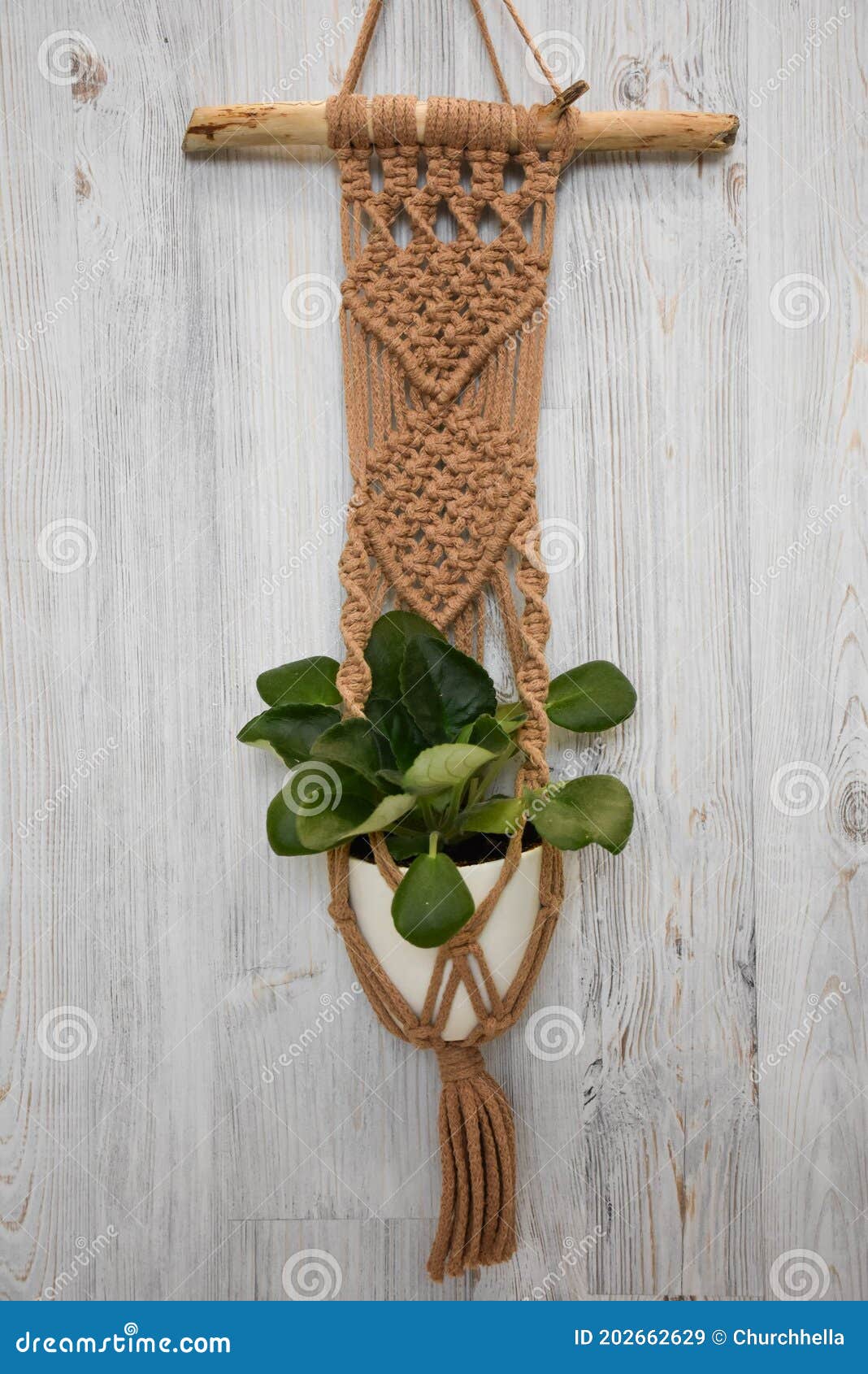 Macrame Planter With Plant Zamiokulkas On A Stool Against A White Wal ...